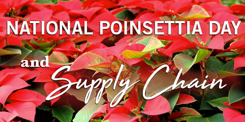 National Poinsettia Day: Flower Supply Chain - MHI Blog